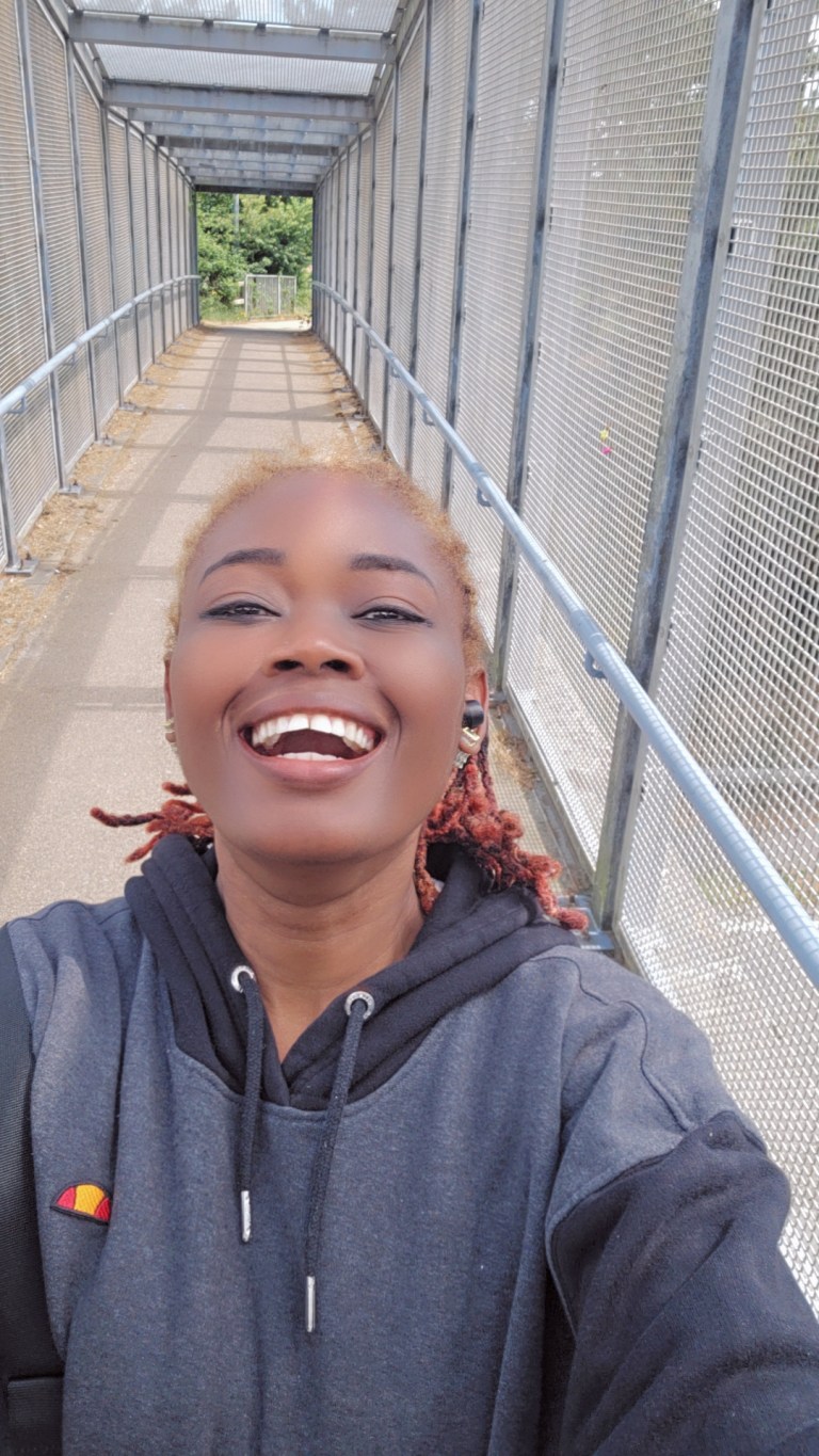 A Journey of Steps: Reflecting on My Recent Adventures – Mindful Miles